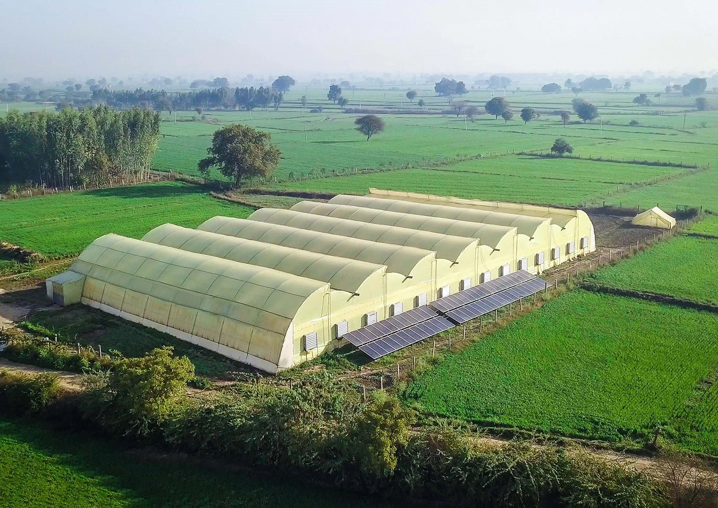 Our Farms - Eekifoods